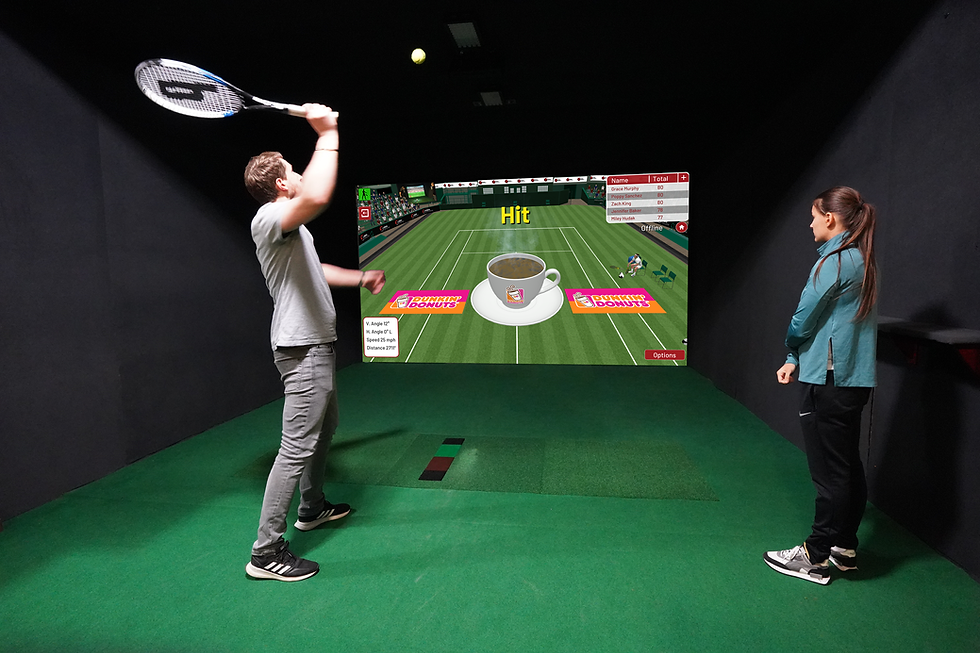 Disc Golf Sports Simulator Disc Golf Sports Simulator